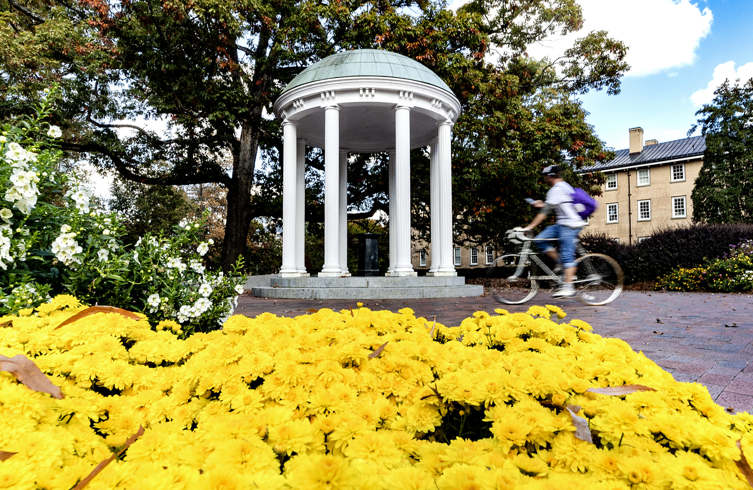 Fall CAPS Therapy Groups Announced - Heels Care Network